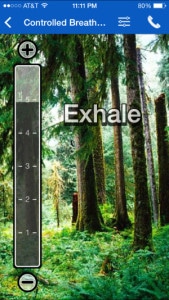 Manage Caregiver Stress with the Virtual Hope Box App – DailyCaring